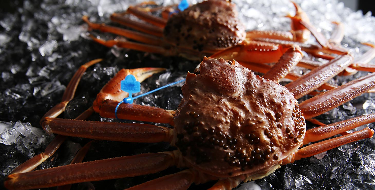 Matsuba Crab | Nishimuraya Honkan Kinosaki Onsen | Hot Spring Japan